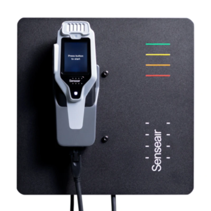 Personal Alcohol Testing System